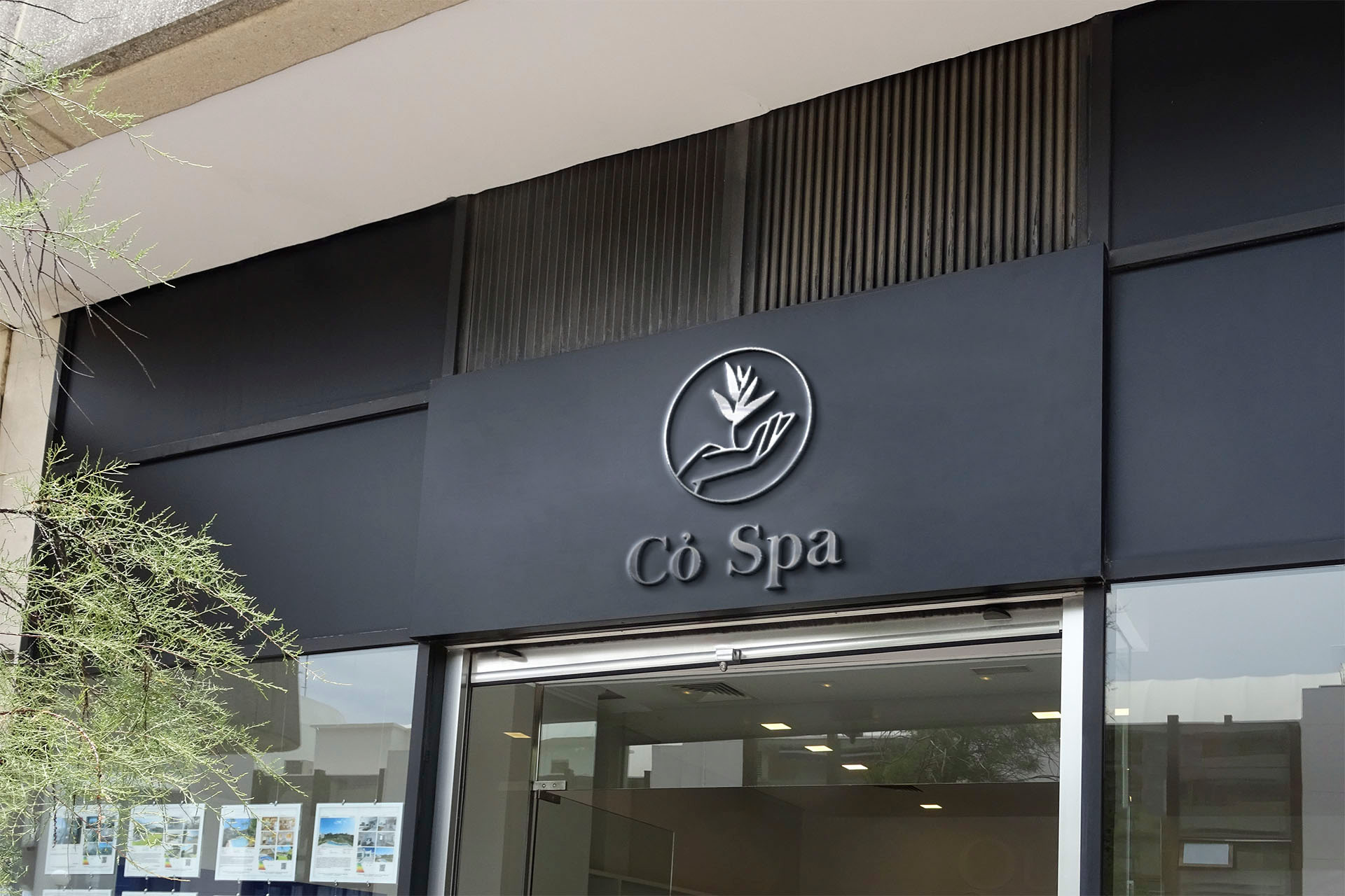 Cỏ Spa - Beauty & Skincare Chăm sóc da mặt Điều trị da Massage body ...